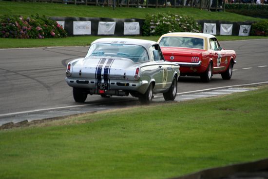 Oliver Impresses on Goodwood Revival Debut - Gallery - Oliver Bryant